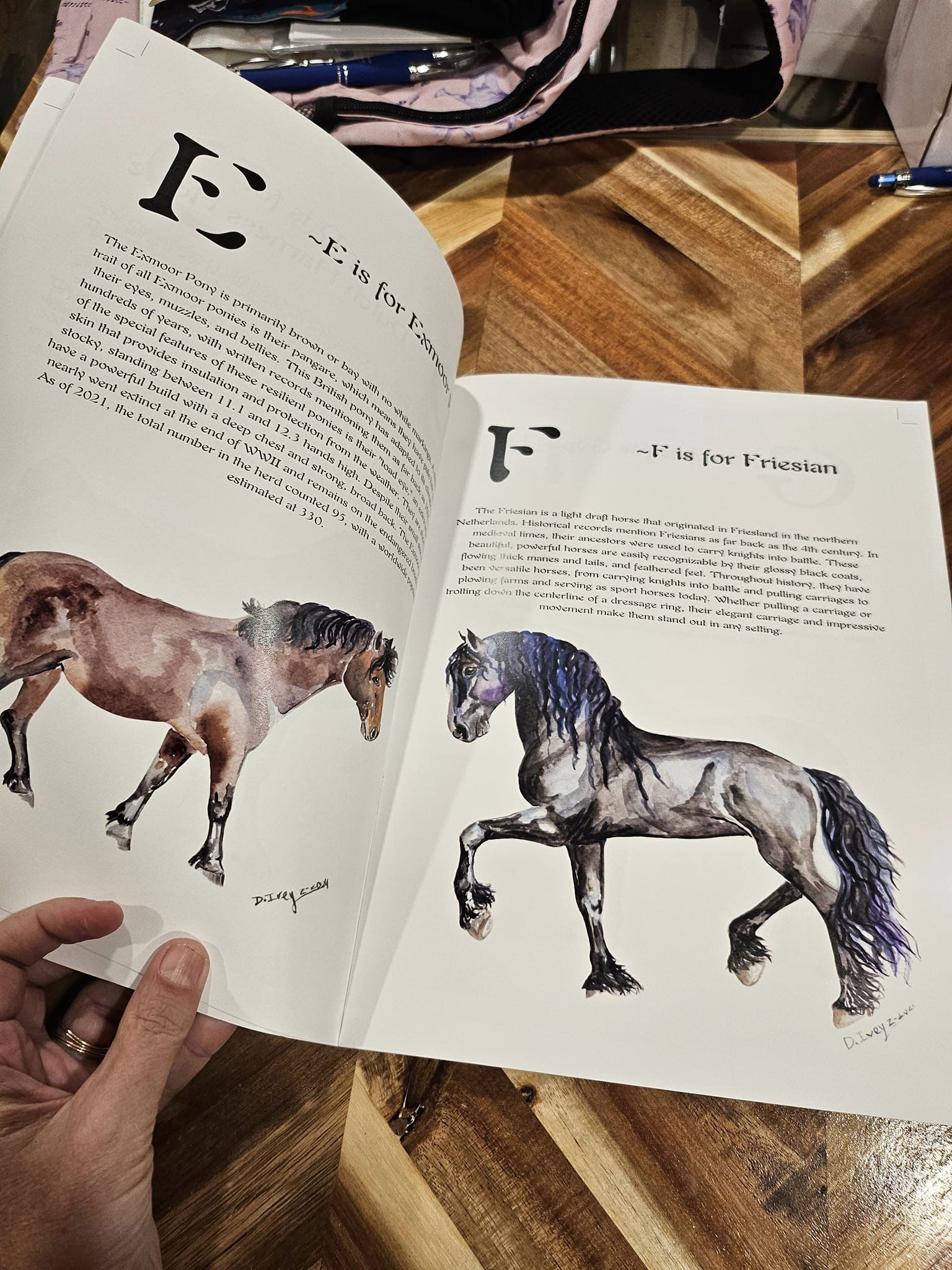 Sona Equestrian, Custom Equestrian Art, Gifts and Books – SonaEquestrian